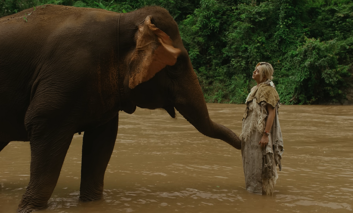 Fujii Kaze พาเที่ยวเมืองไทยแบบโลคอล ในเอ็มวีเพลงใหม่ “Prema” – Universal Music Thailand